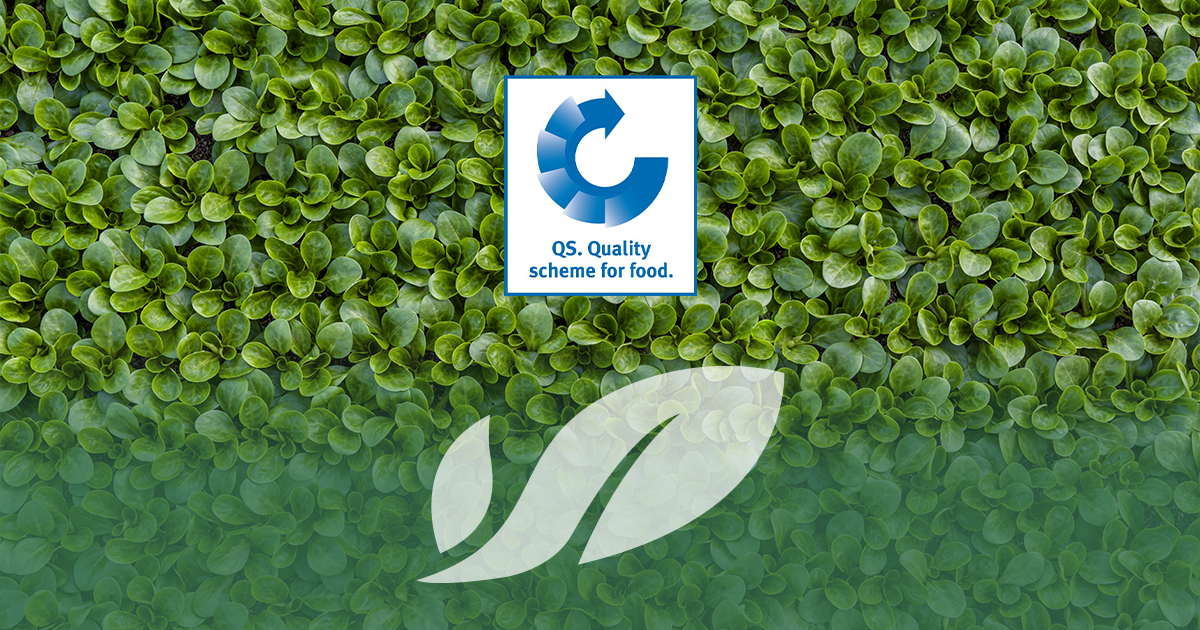 QS Quality scheme for food Certification | O.P. Isola Verde