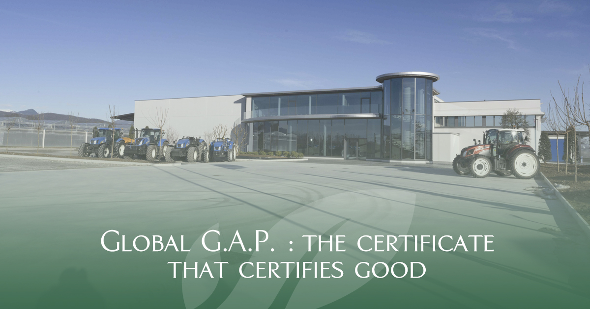 Global G.A.P. : the certificate that certifies good agricultural ...