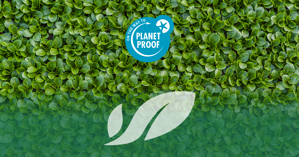 Planet Proof ~ O.P. Isola Verde