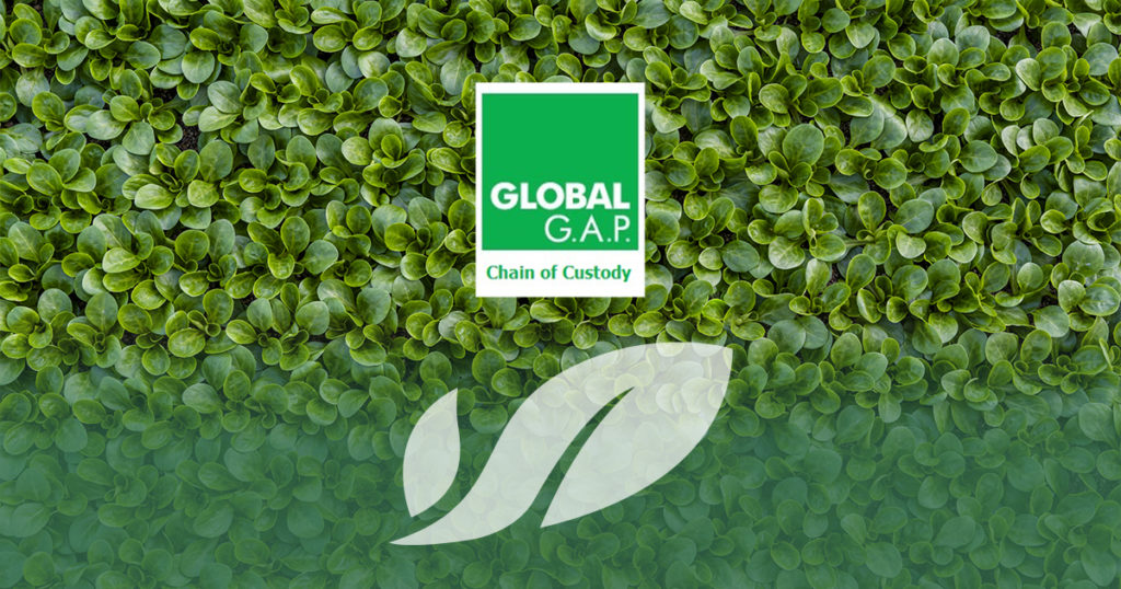 Global G.A.P. certification Chain of Custody ~ O.P. Isola Verde